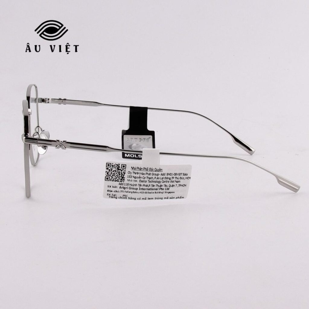 Gọng kính đa giác MOLSION MX7001_B15 hàng chính hãng