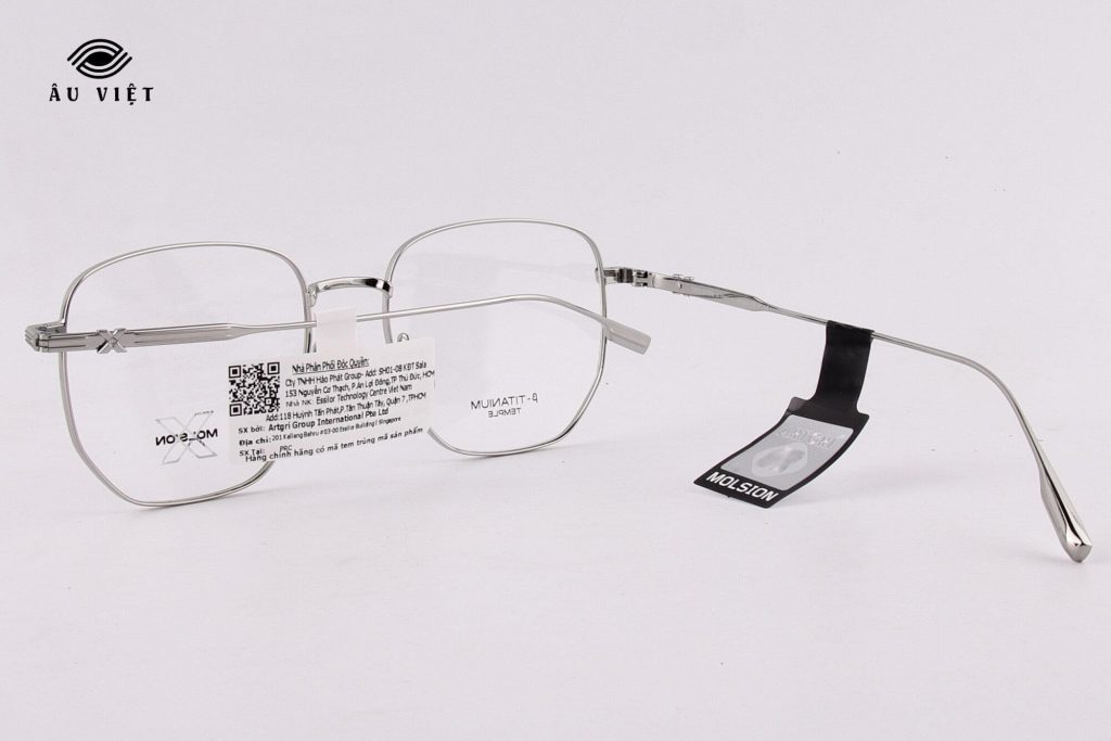 Gọng kính đa giác MOLSION MX7001_B15 hàng chính hãng