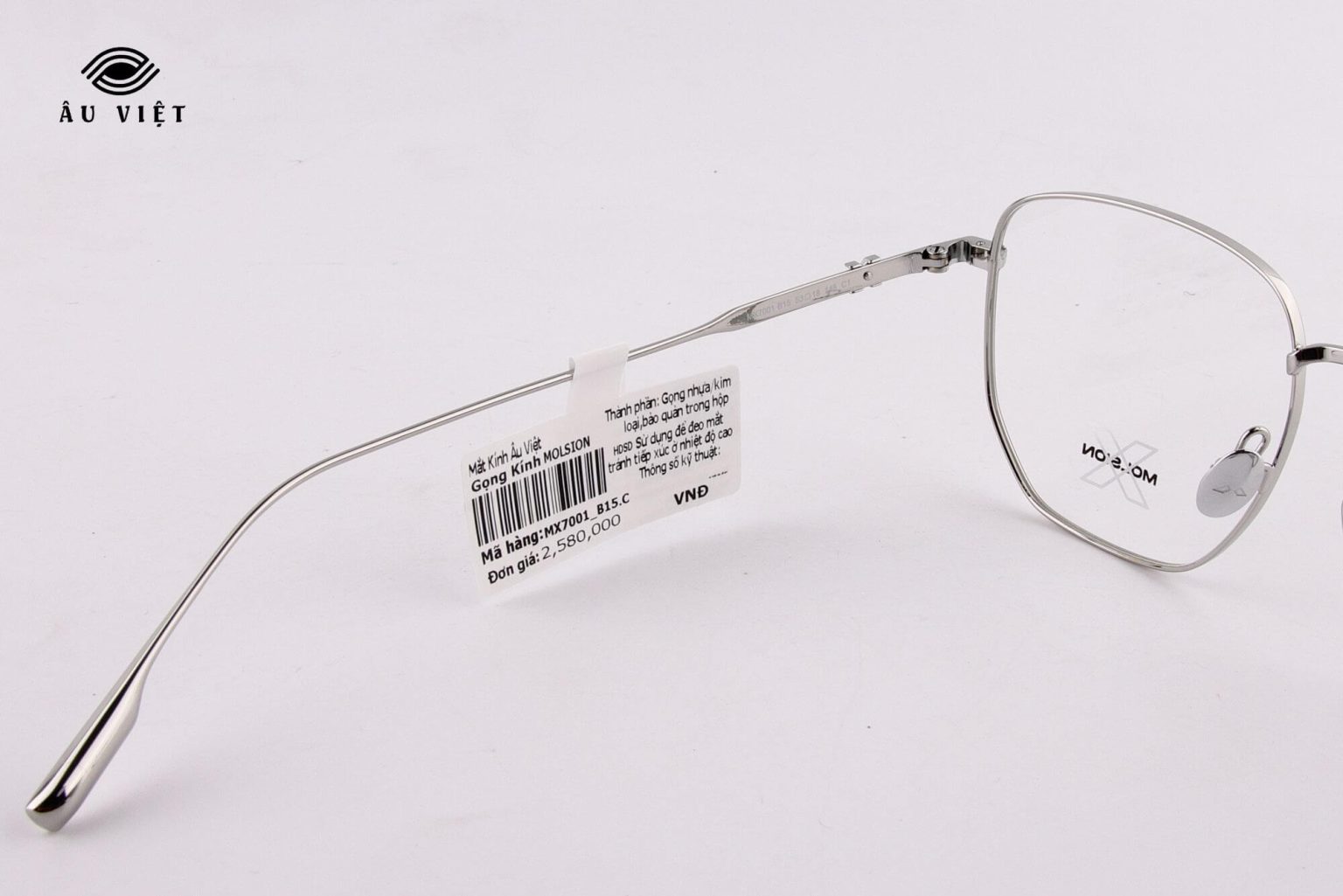 Gọng kính đa giác MOLSION MX7001_B15 hàng chính hãng